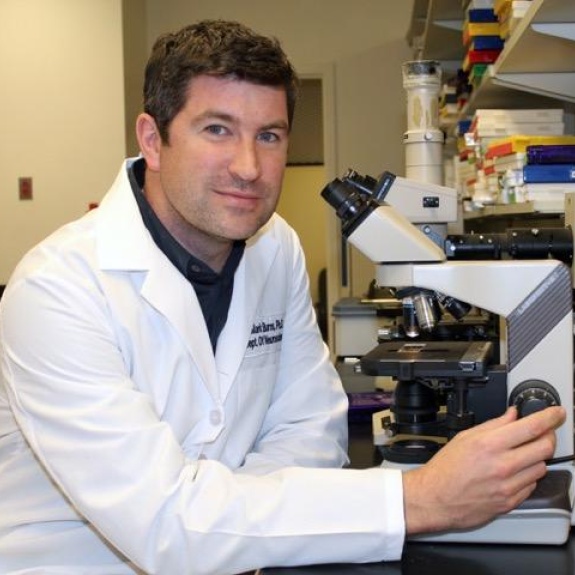 Sports, Concussions & Alzheimer's Risk - Dr. Mark Burns ... Sports, Concussions & Alzheimer's Risk - Dr. Mark Burns ...